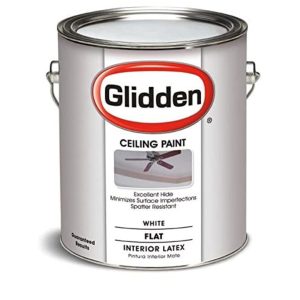 6 Best Ceiling Paint to Elevate the Interior Aesthetics - Architectures ...