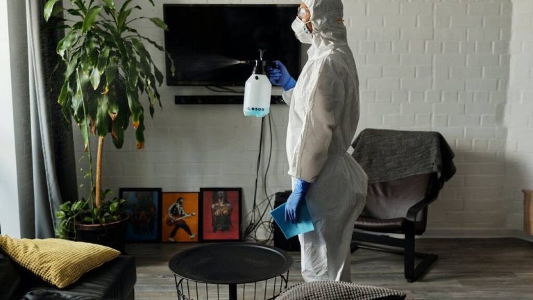 Why Annual Pest Control Is Important and its Benefits?