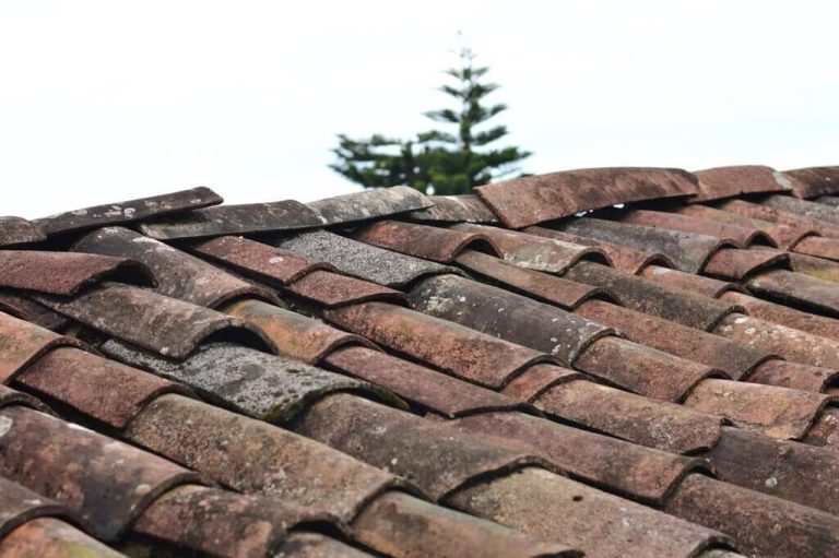 Roof Deterioration Explained: What Every Homeowner Should Know ...
