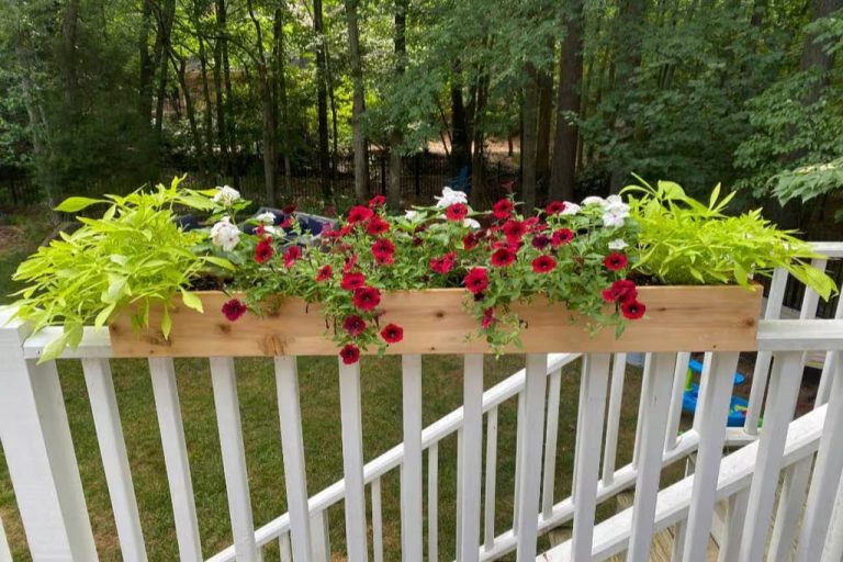 How to Use Flower Boxes on Railings for a Beautiful Outdoor Space ...