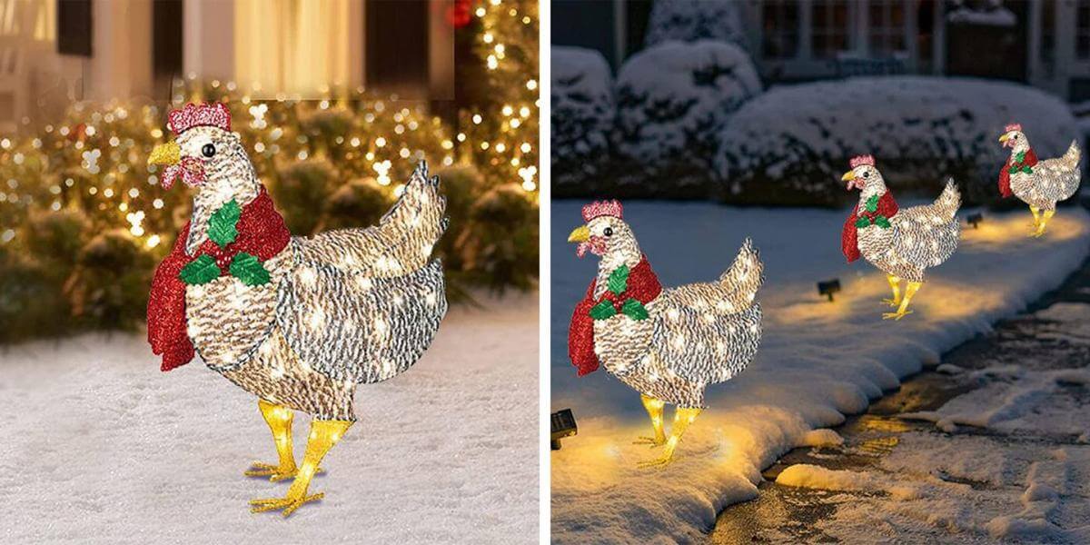 65+ Outdoor Christmas Lights Ideas That You'll Love! - Architectures Ideas