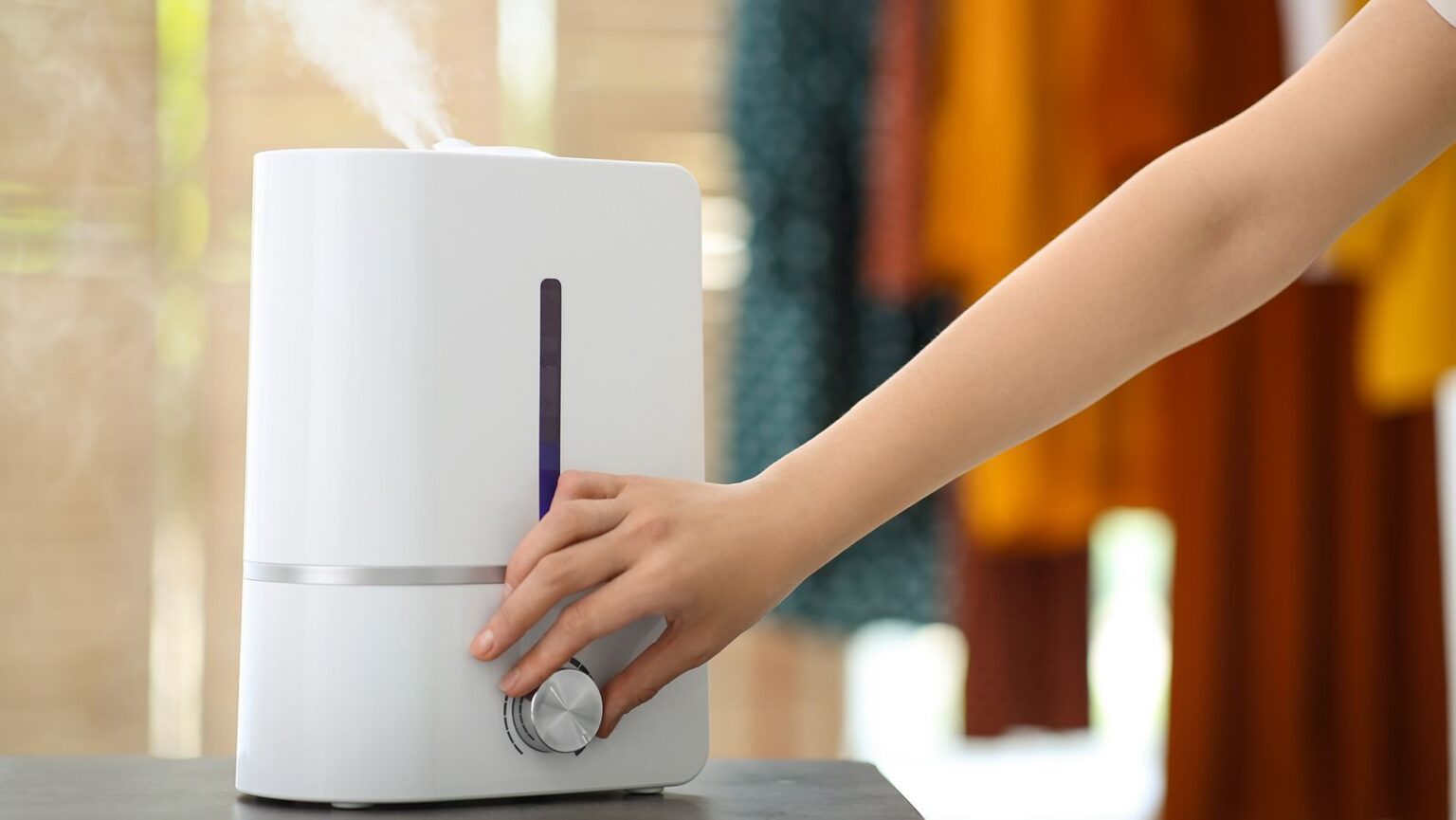 Is a Humidifier Right for You? Unveiling the Benefits & Drawbacks ...